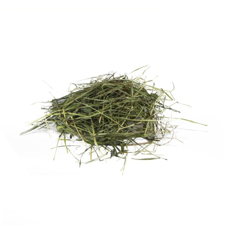 Heno de alfalfa 20 Kg Alimento premium para conejos, cuyes | alto ...